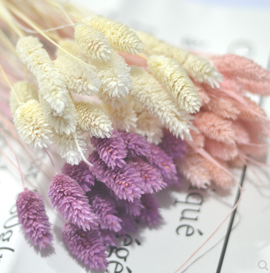 Gem Grass – Floral Forest Wholesale