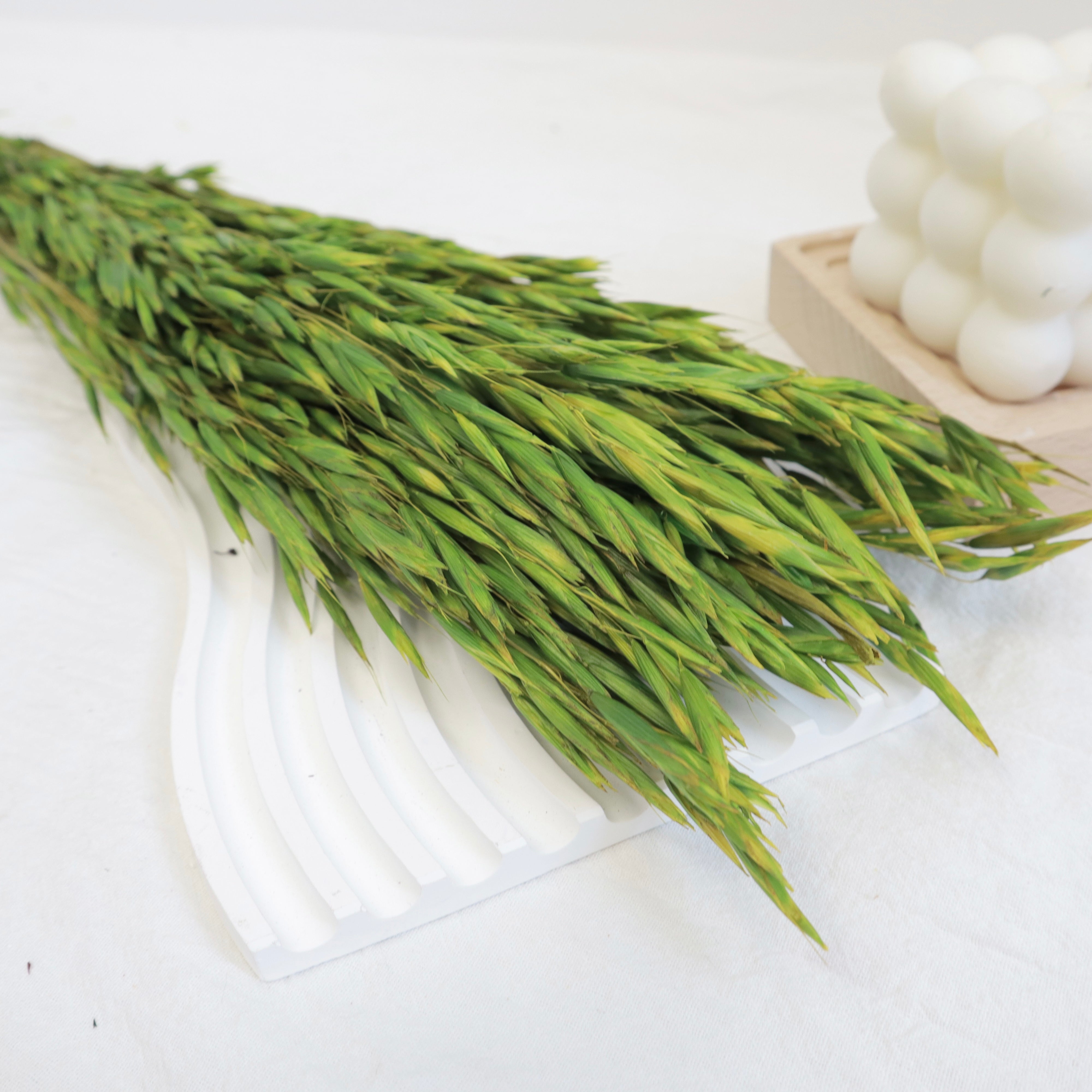 FLORAL FOREST Preserved and Dried Flowers Wholesale – Floral Forest ...