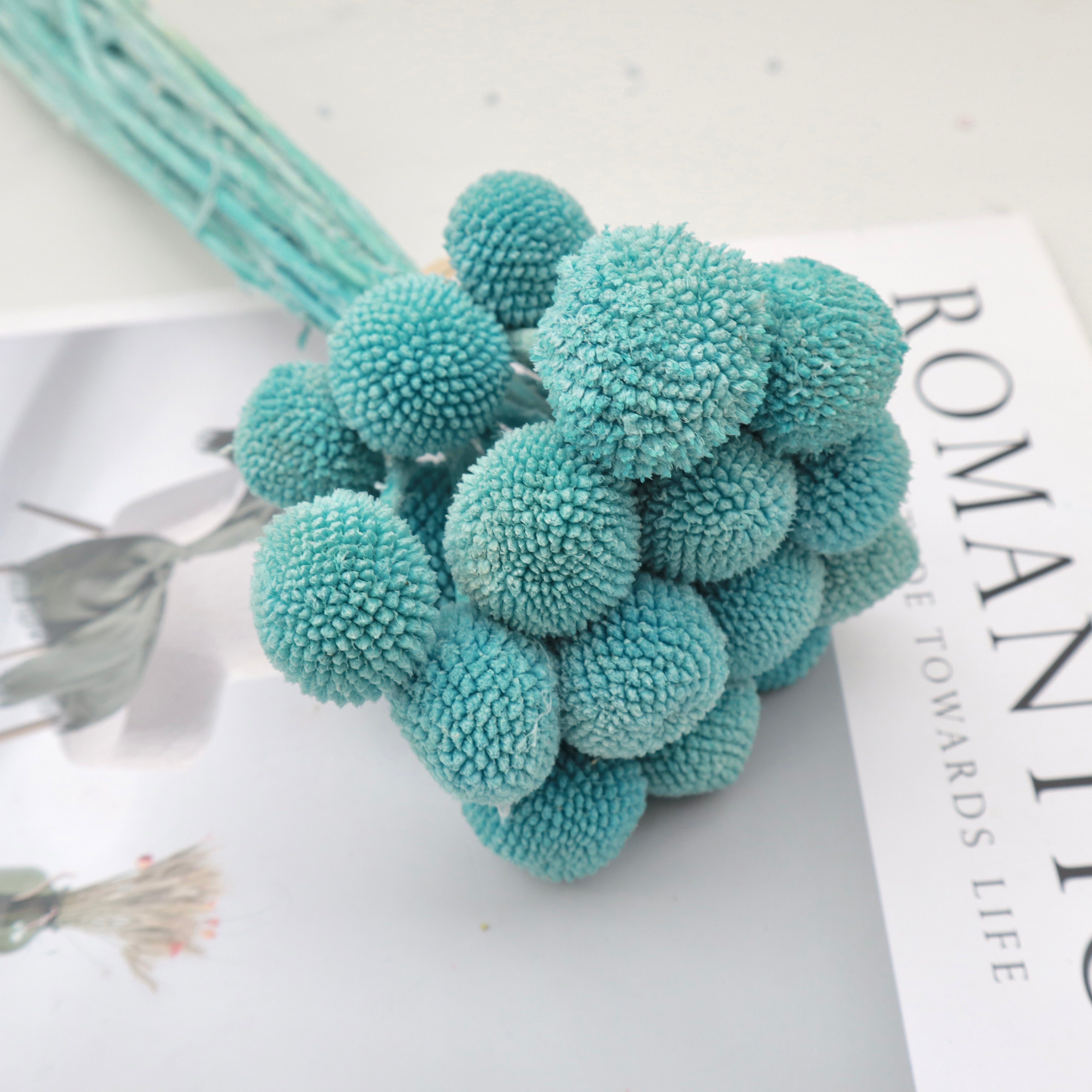 FLORAL FOREST Preserved and Dried Flowers Wholesale – Floral Forest ...