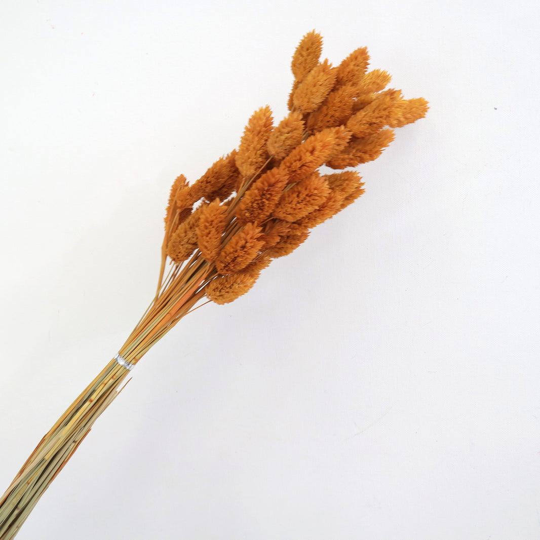 Gem Grass – Floral Forest Wholesale