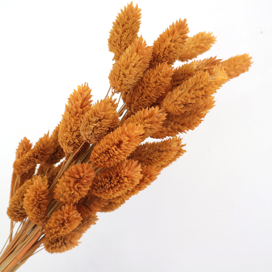 Gem Grass – Floral Forest Wholesale