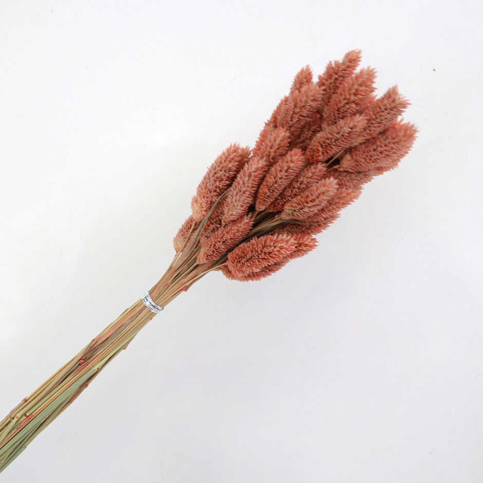 Gem Grass – Floral Forest Wholesale