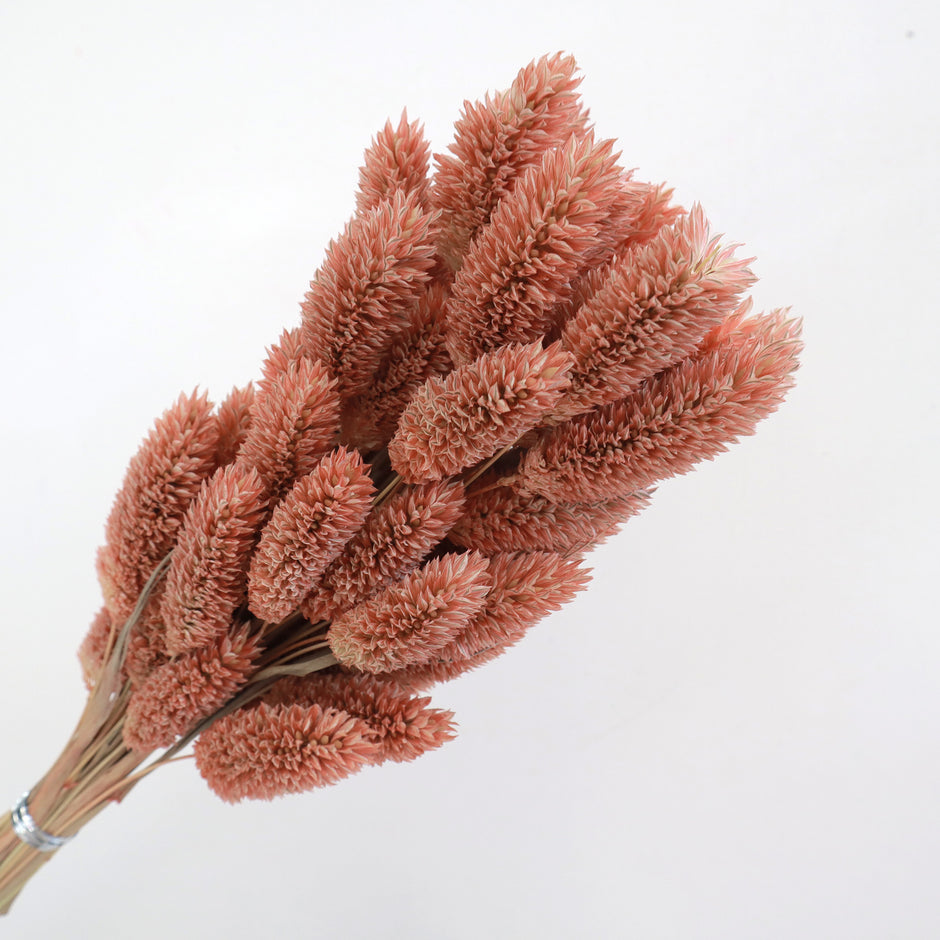 Gem Grass – Floral Forest Wholesale