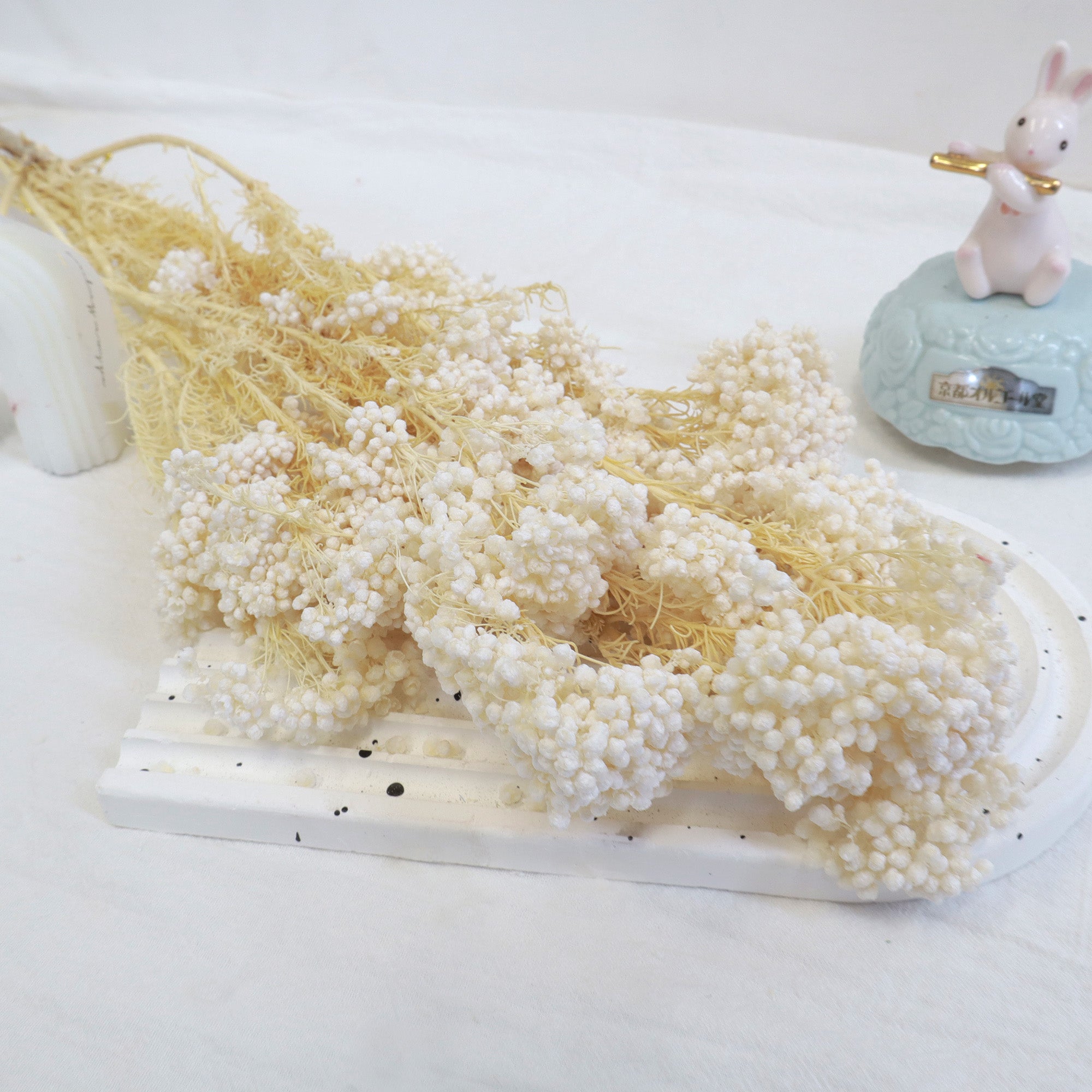 Rice Flower – Floral Forest Wholesale