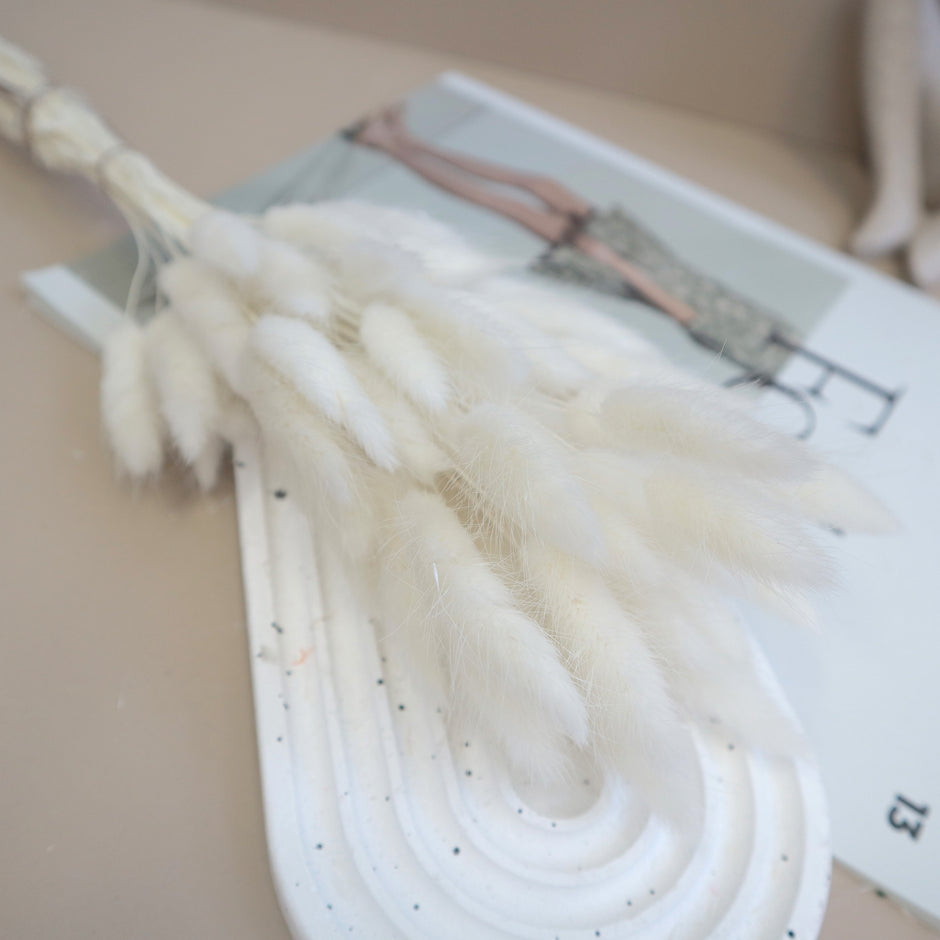 Bunny Tail – Floral Forest Wholesale