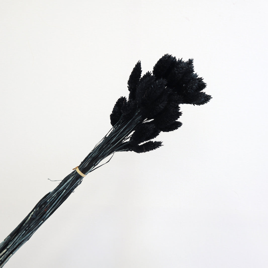 Gem Grass – Floral Forest Wholesale