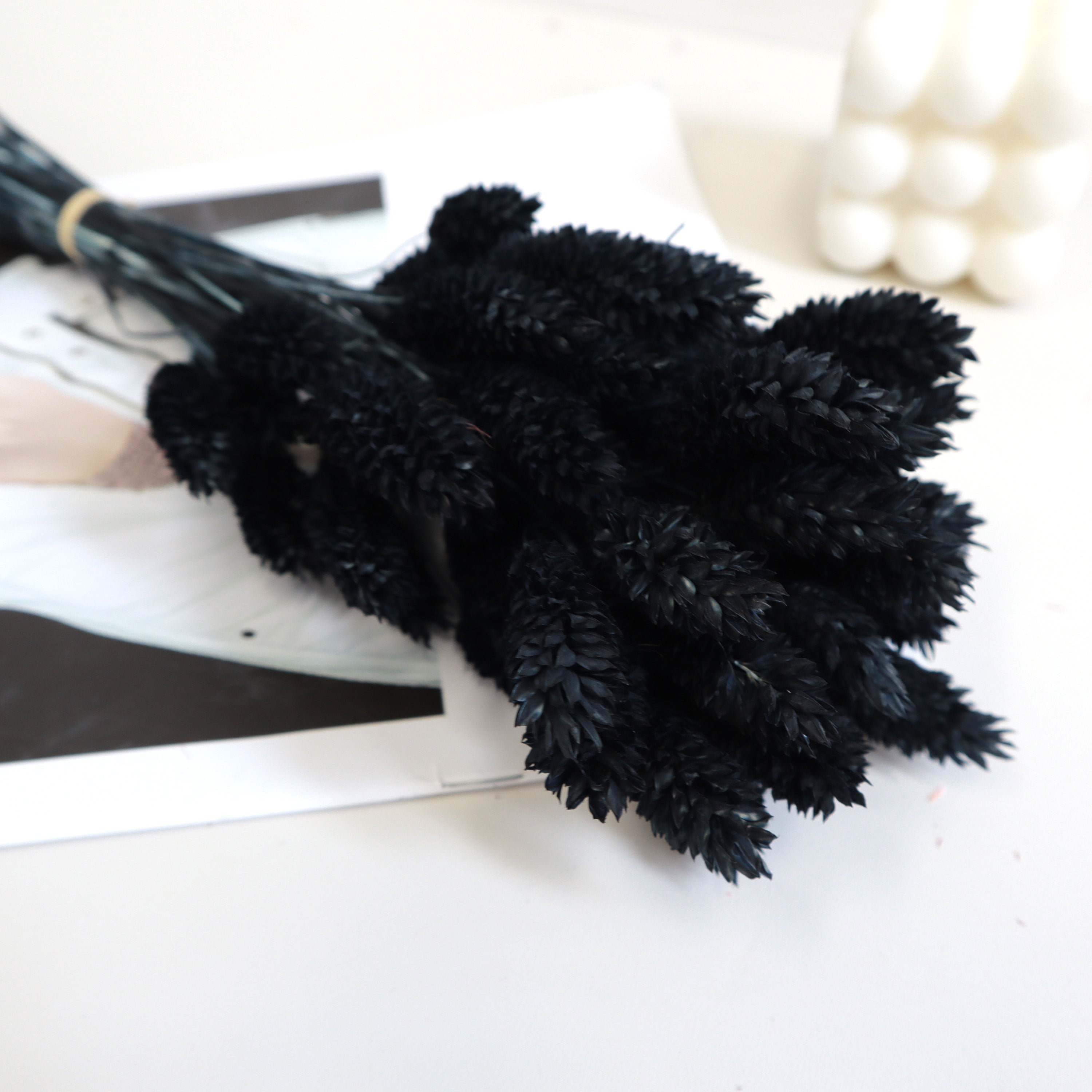 Gem Grass – Floral Forest Wholesale