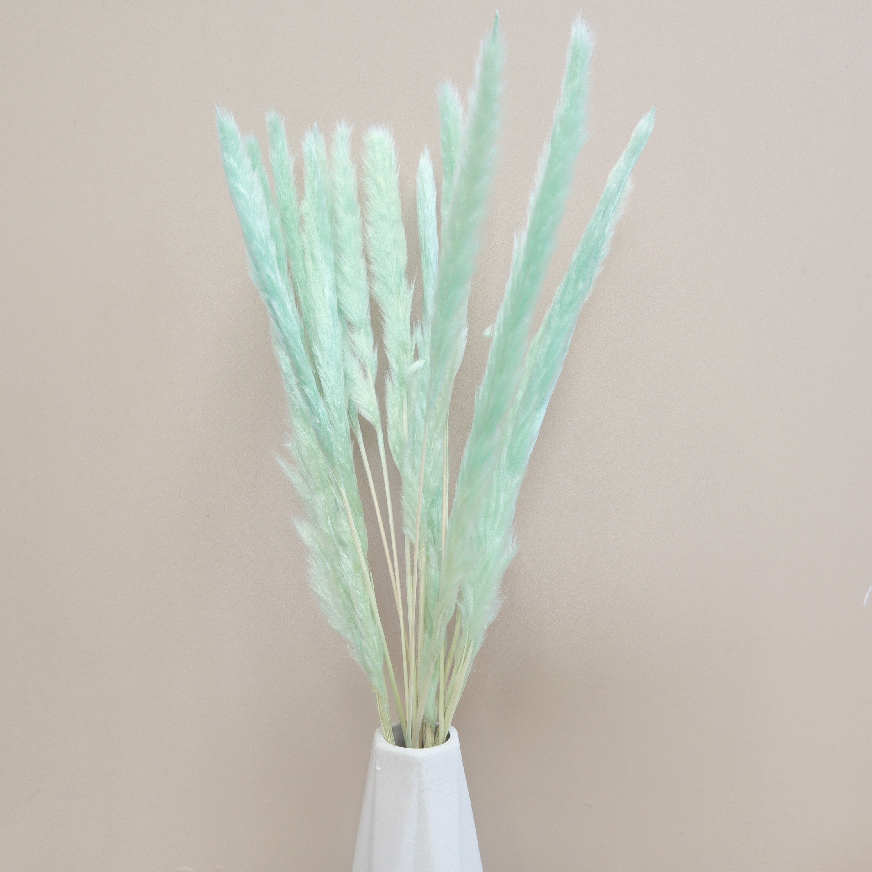 Fluffy Stick – Floral Forest Wholesale