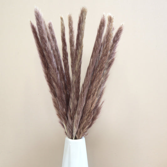 Fluffy Stick – Floral Forest Wholesale