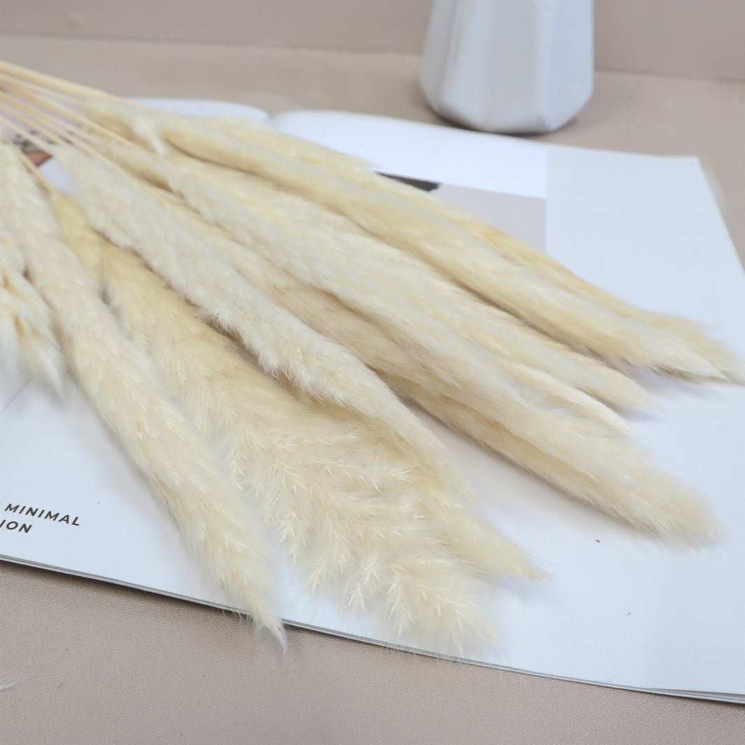 Fluffy Stick – Floral Forest Wholesale