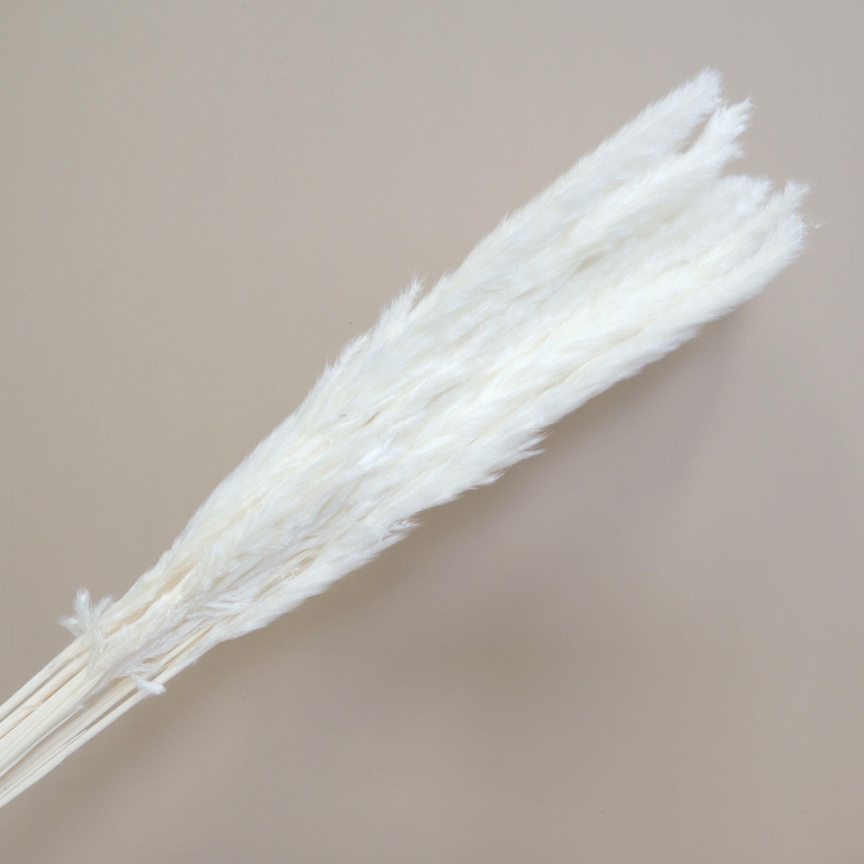 Fluffy Stick White – Floral Forest Wholesale