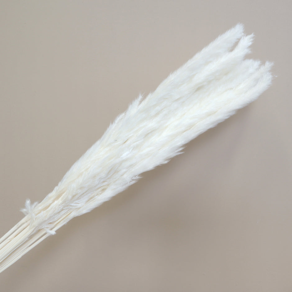 Fluffy Stick – Floral Forest Wholesale