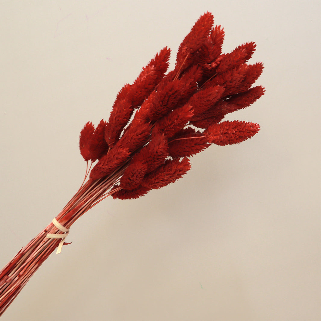 Gem Grass – Floral Forest Wholesale