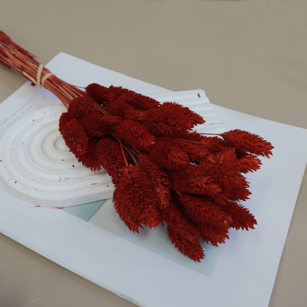 Gem Grass – Floral Forest Wholesale