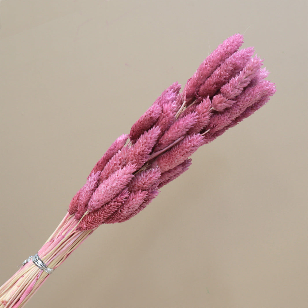 Gem Grass – Floral Forest Wholesale