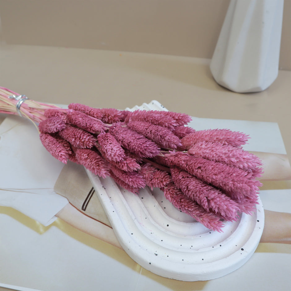 Gem Grass – Floral Forest Wholesale