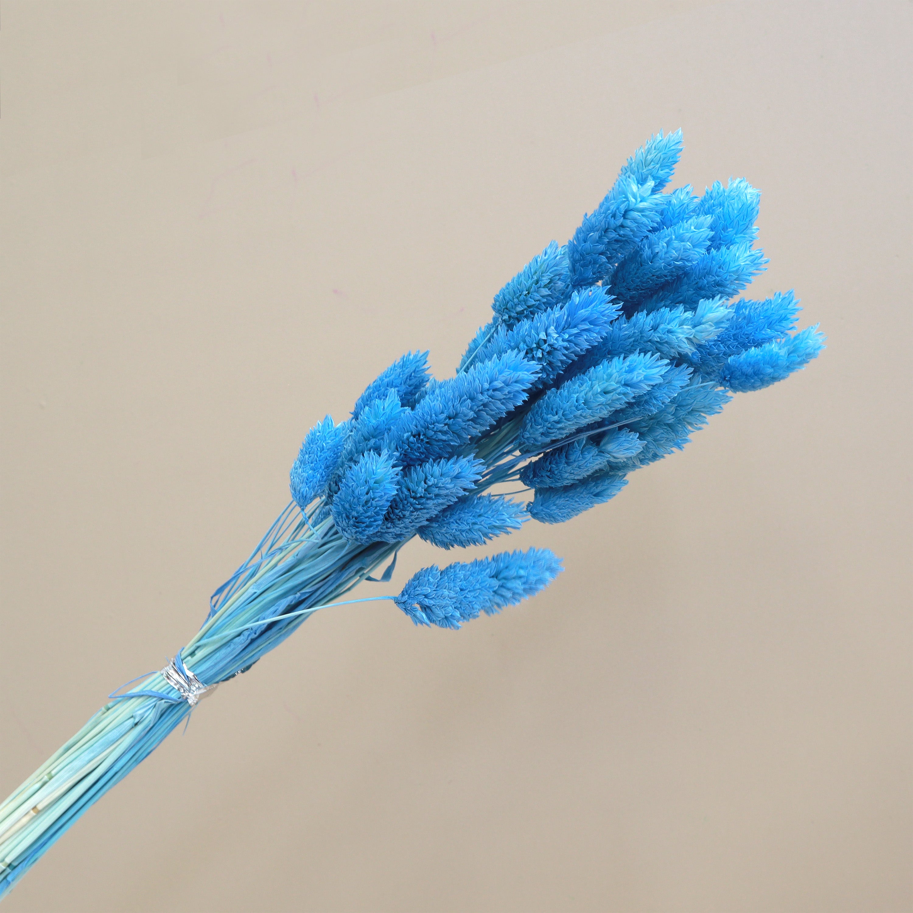 Gem Grass – Floral Forest Wholesale