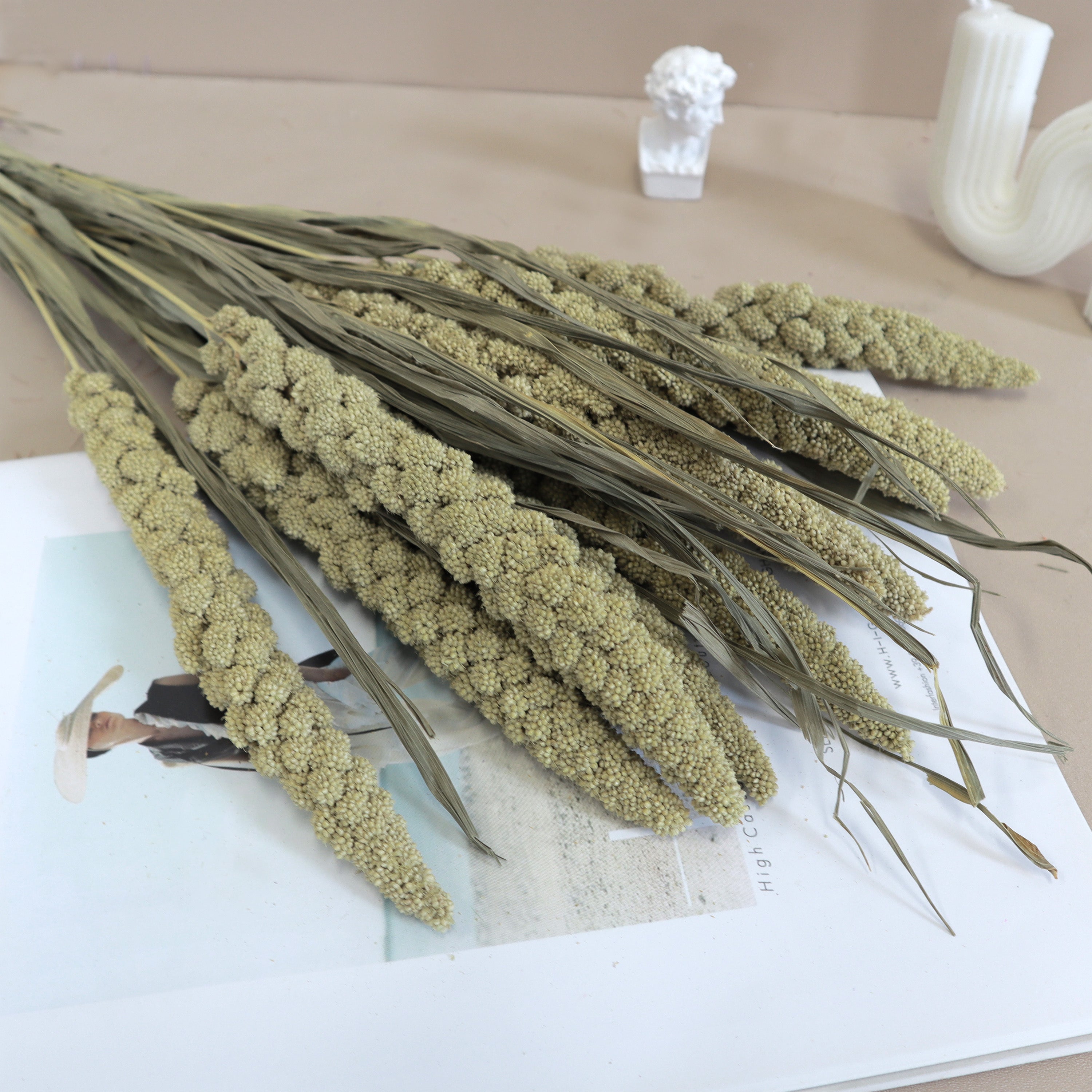 Dried Millets Natural – Floral Forest Wholesale