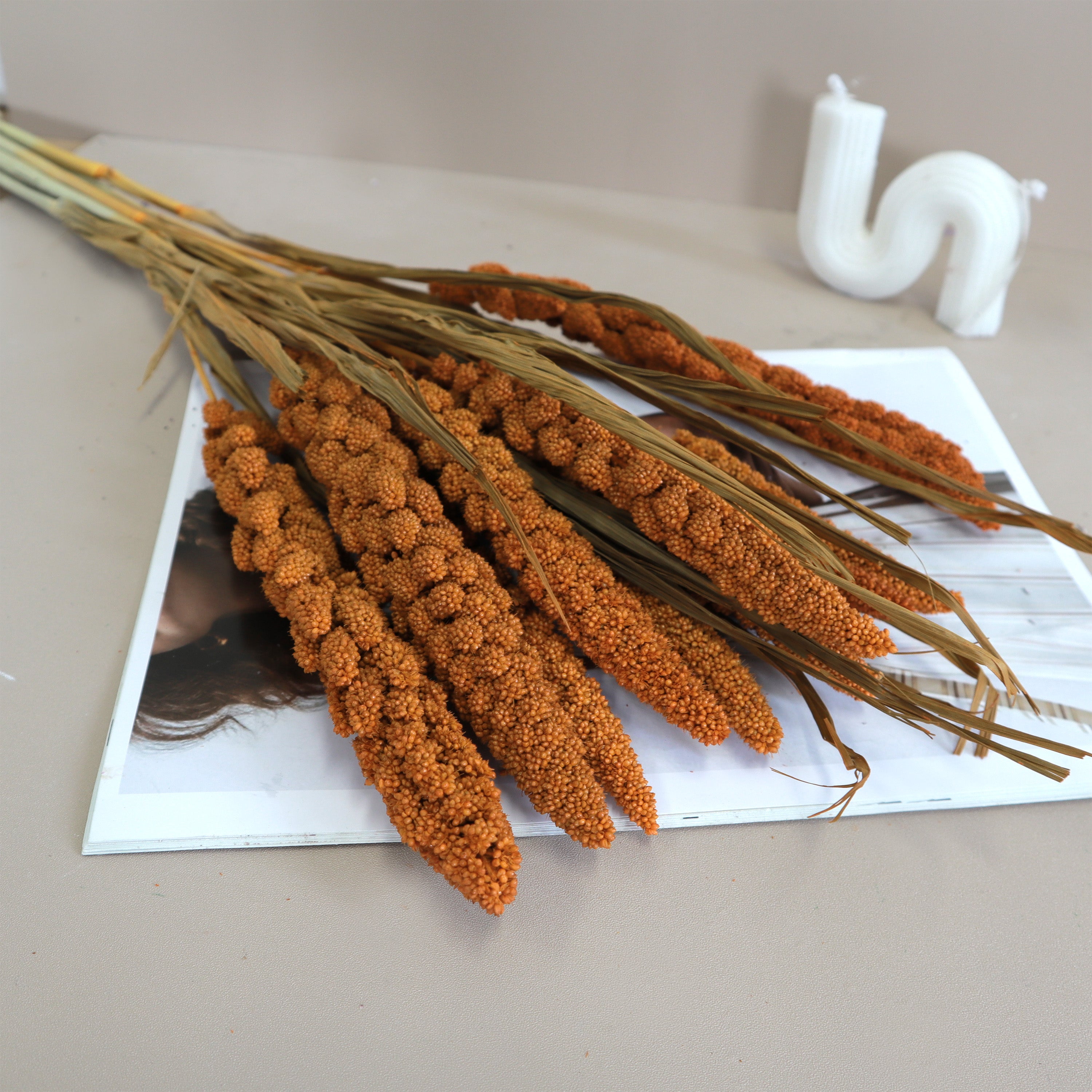 Dried Grains – Floral Forest Wholesale