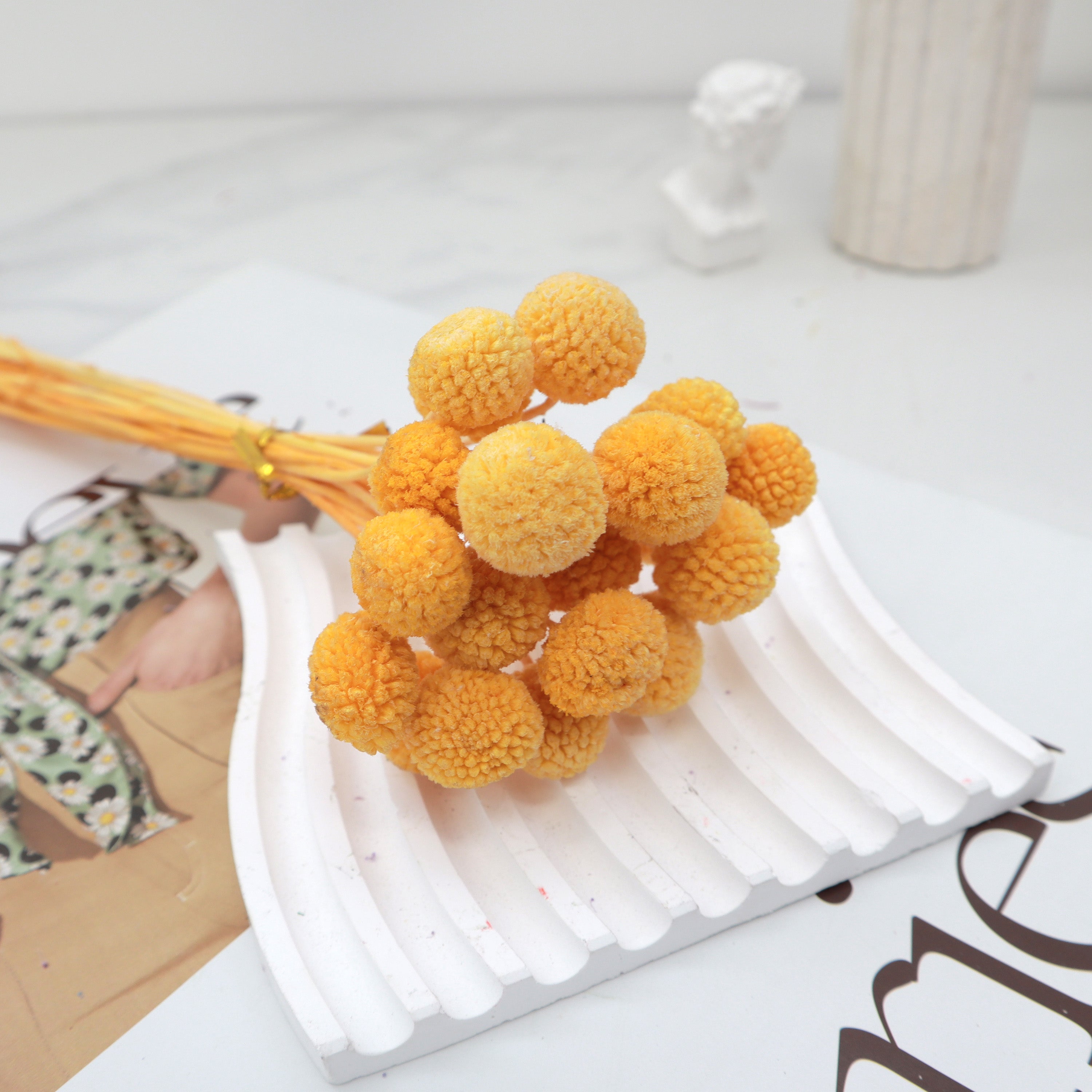 Billy Button – Floral Forest Wholesale