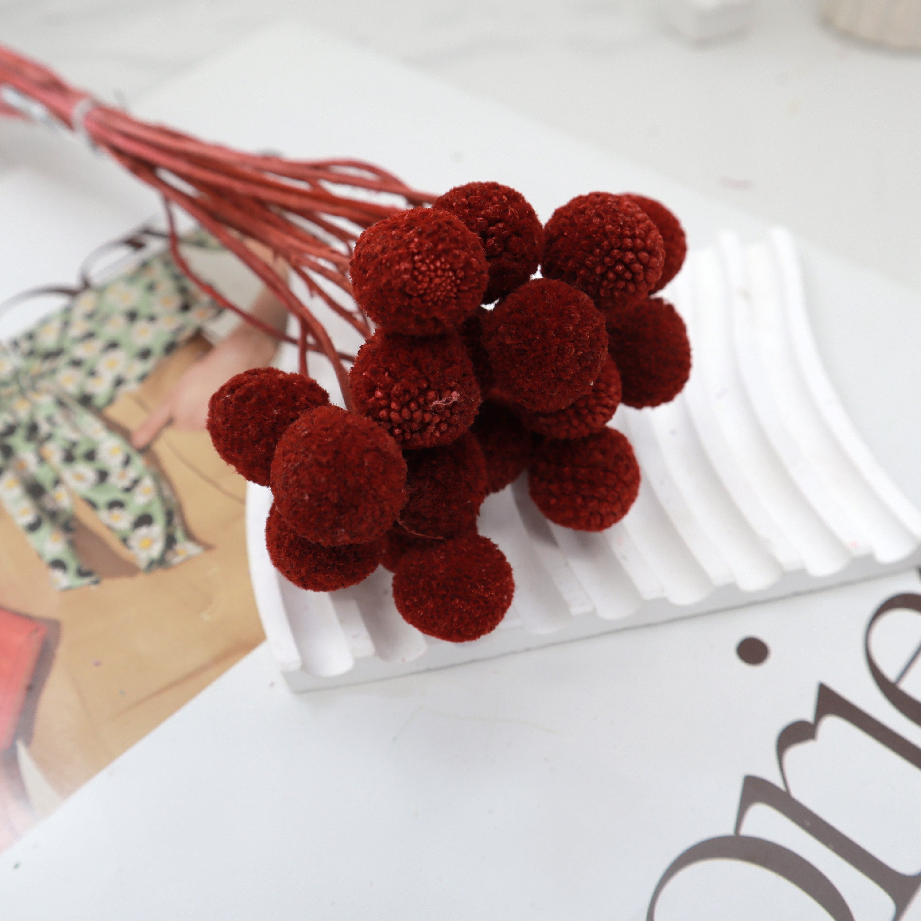 Billy Button – Floral Forest Wholesale