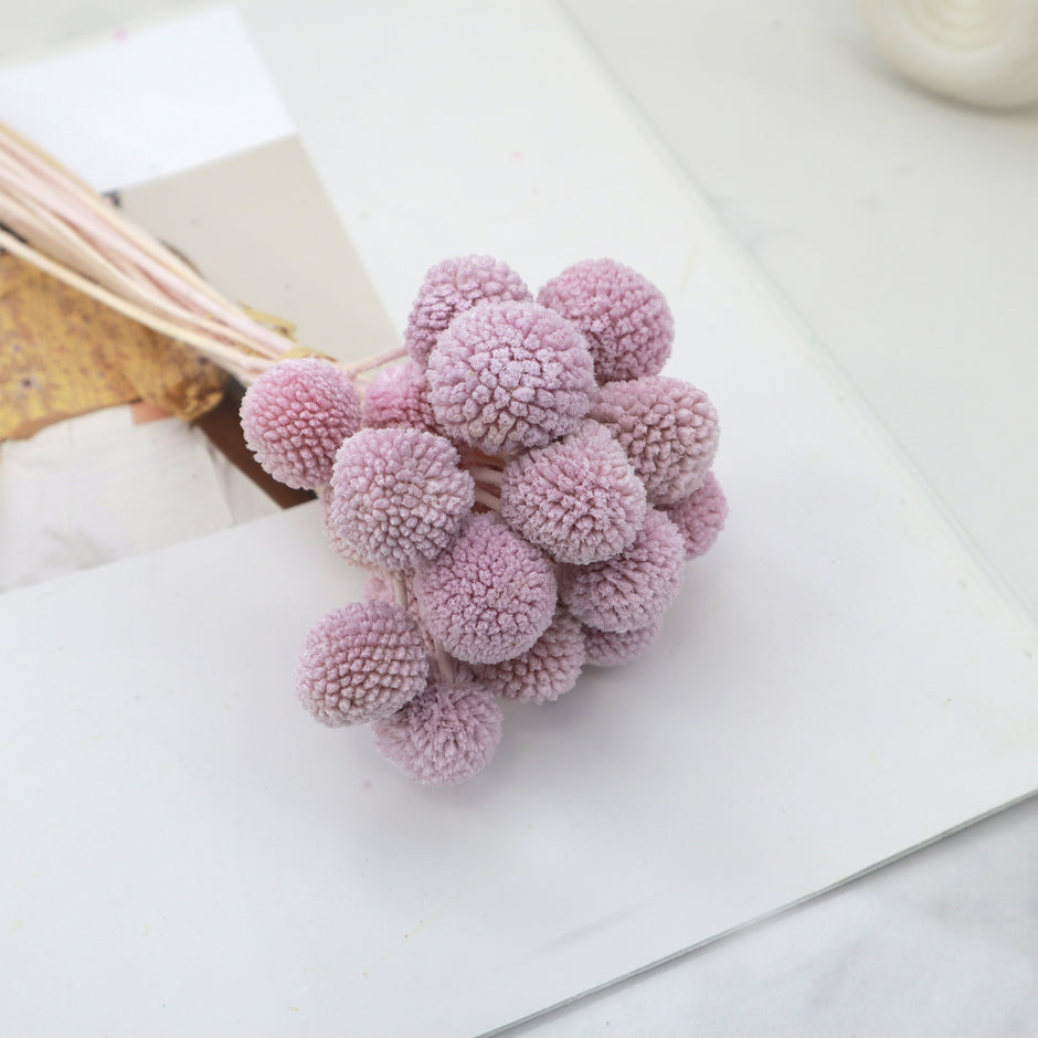 Billy Button – Floral Forest Wholesale