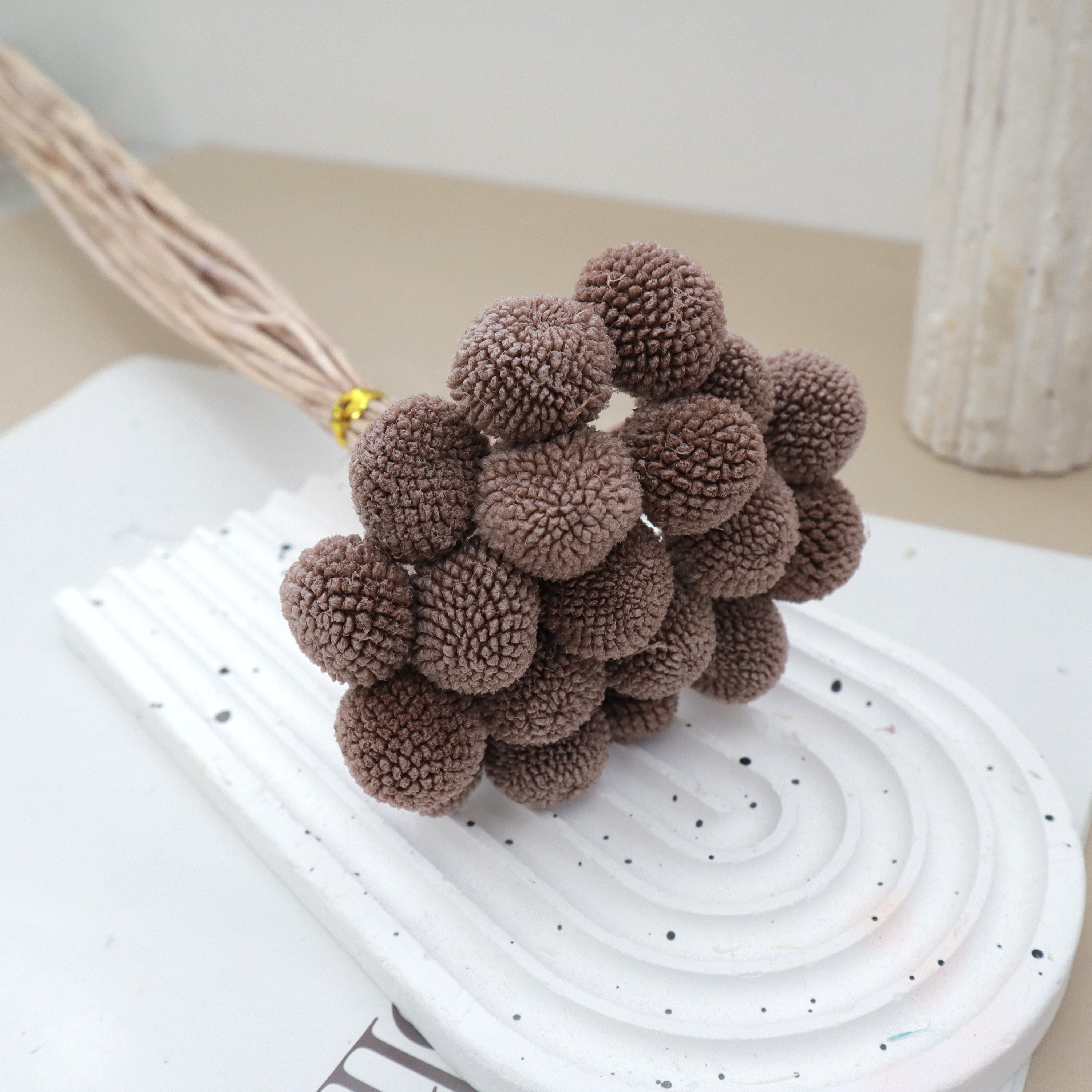 Billy Button – Floral Forest Wholesale