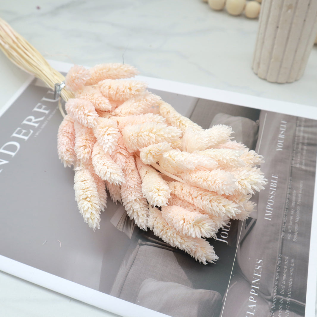 Gem Grass – Floral Forest Wholesale