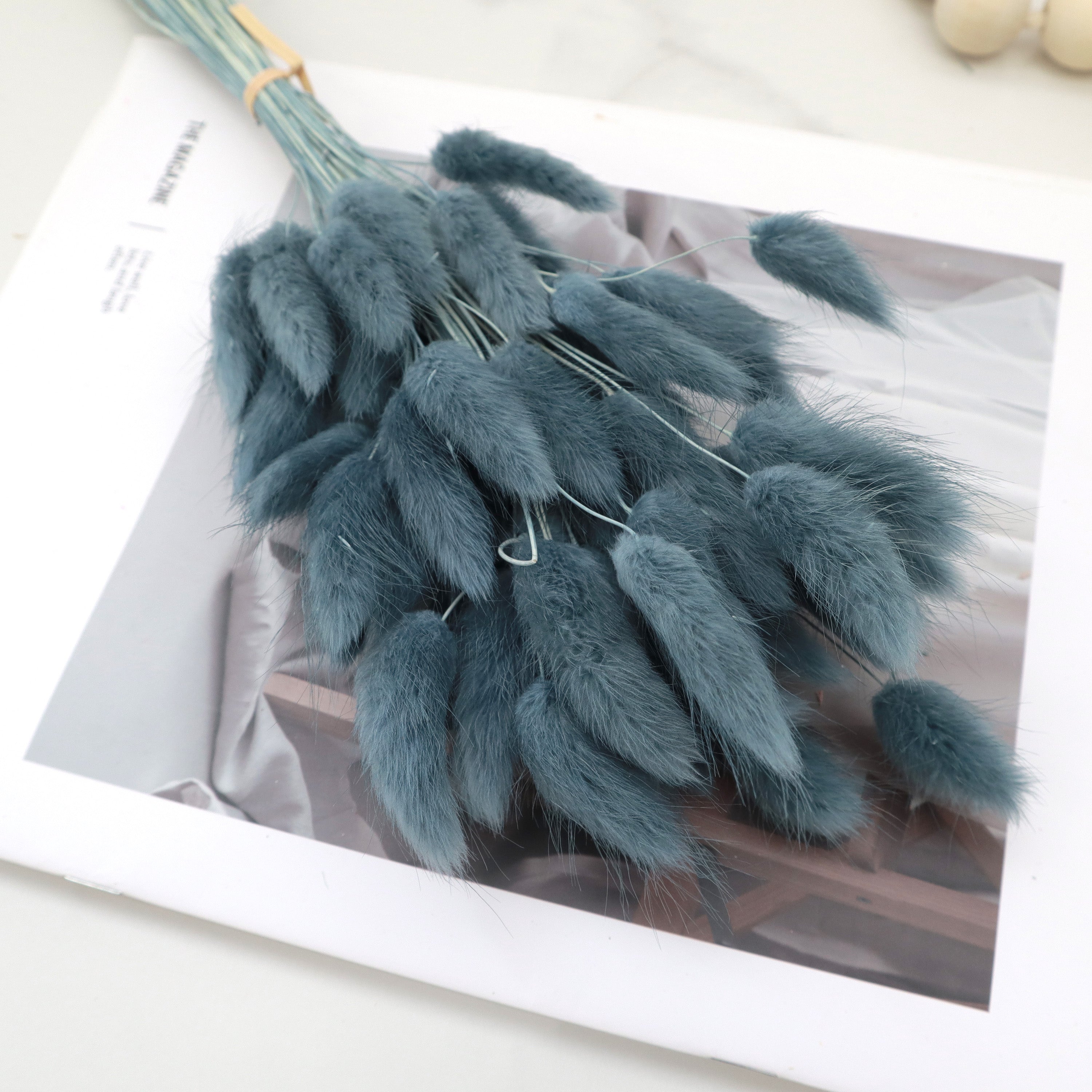 Bunny Tails Steel Blue – Floral Forest Wholesale