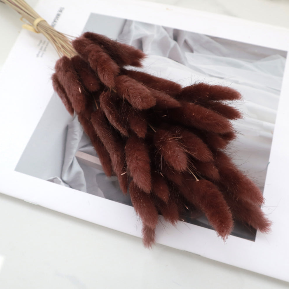 Bunny Tails Dark Maroon – Floral Forest Wholesale