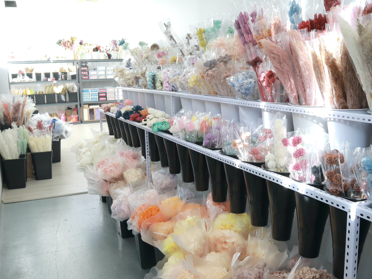 FLORAL FOREST Preserved and Dried Flowers Wholesale – Floral Forest ...