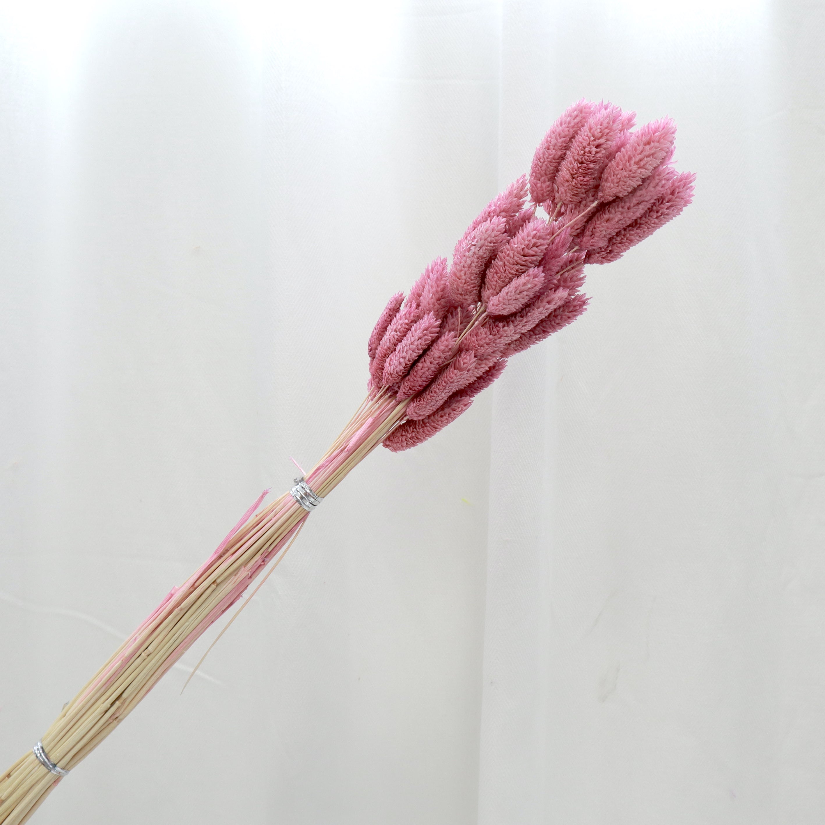 Gem Grass – Floral Forest Wholesale