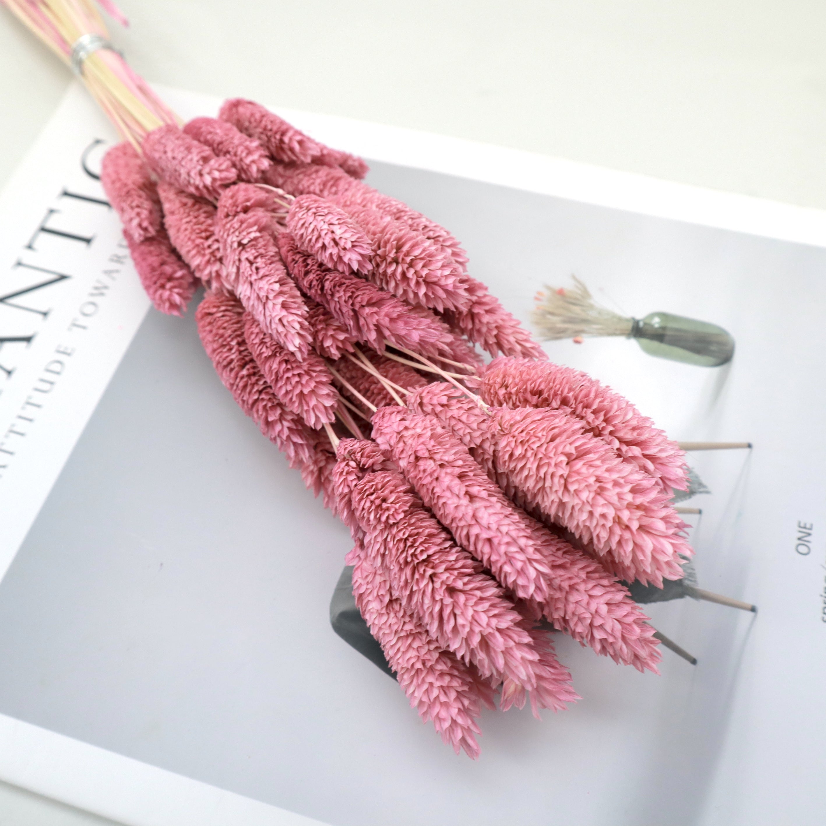 Gem Grass – Floral Forest Wholesale