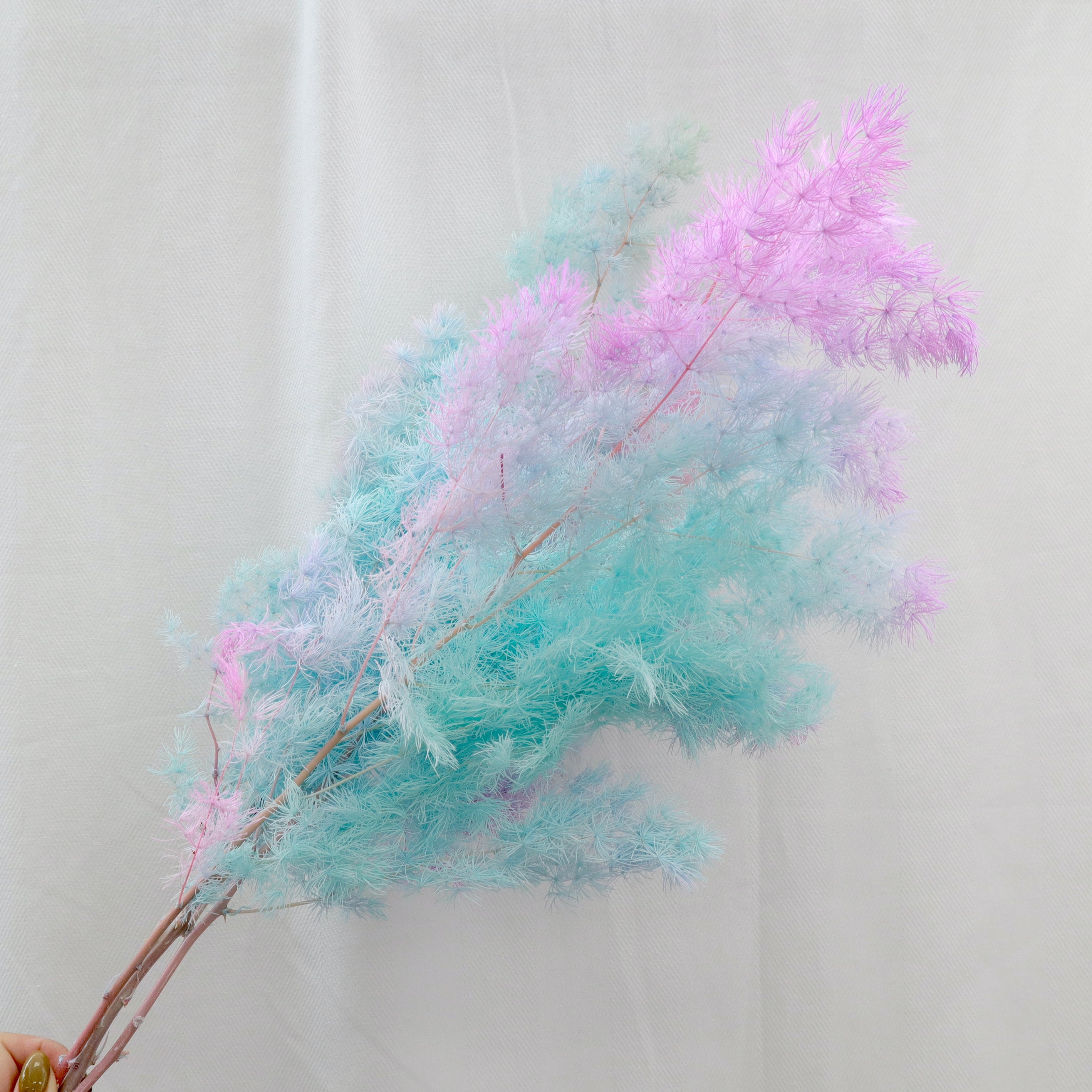 FLORAL FOREST Preserved and Dried Flowers Wholesale – Floral Forest ...