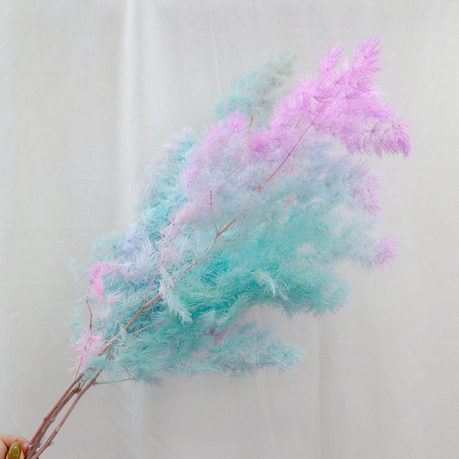 FLORAL FOREST Preserved and Dried Flowers Wholesale – Floral Forest ...