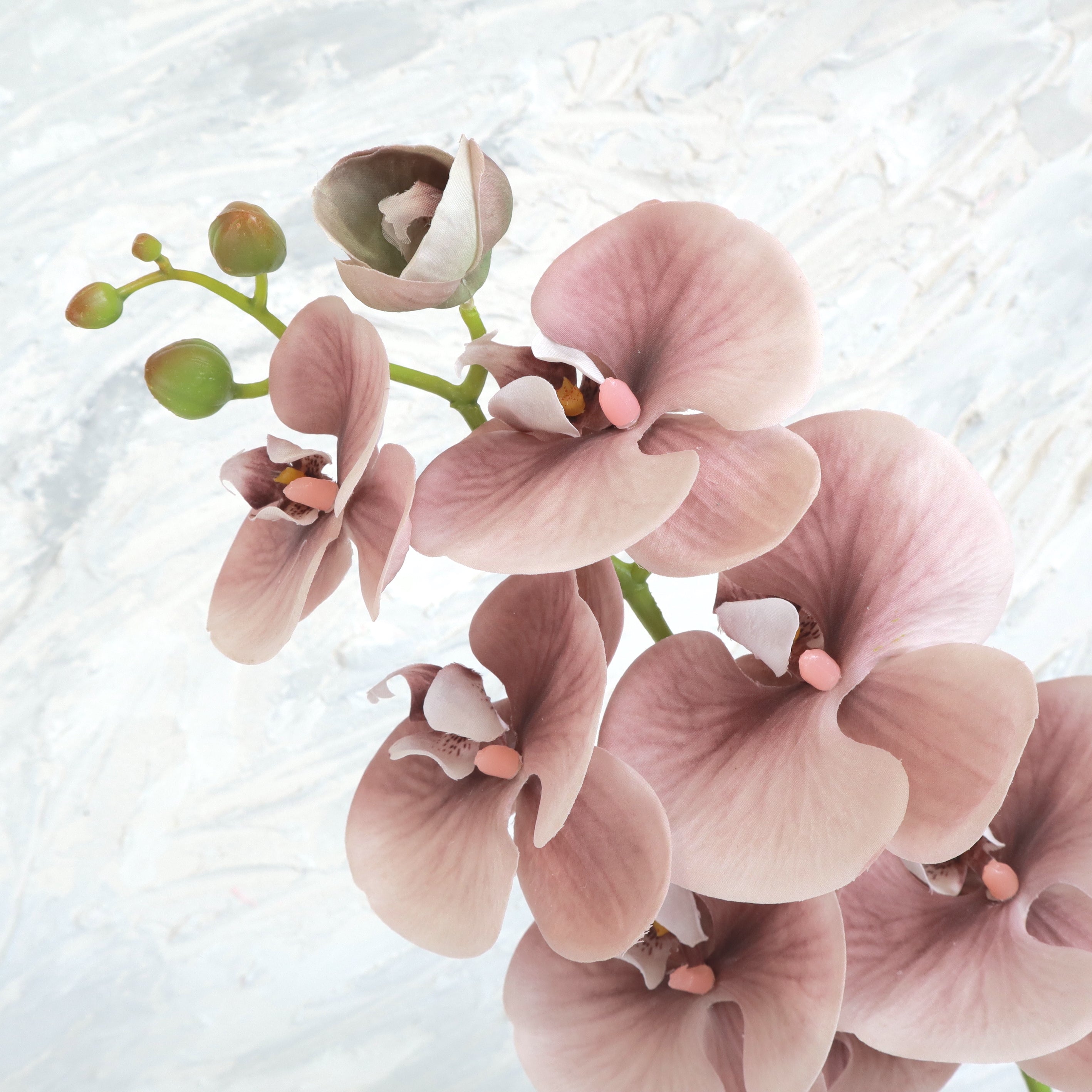 Artificial Orchid – Floral Forest Wholesale