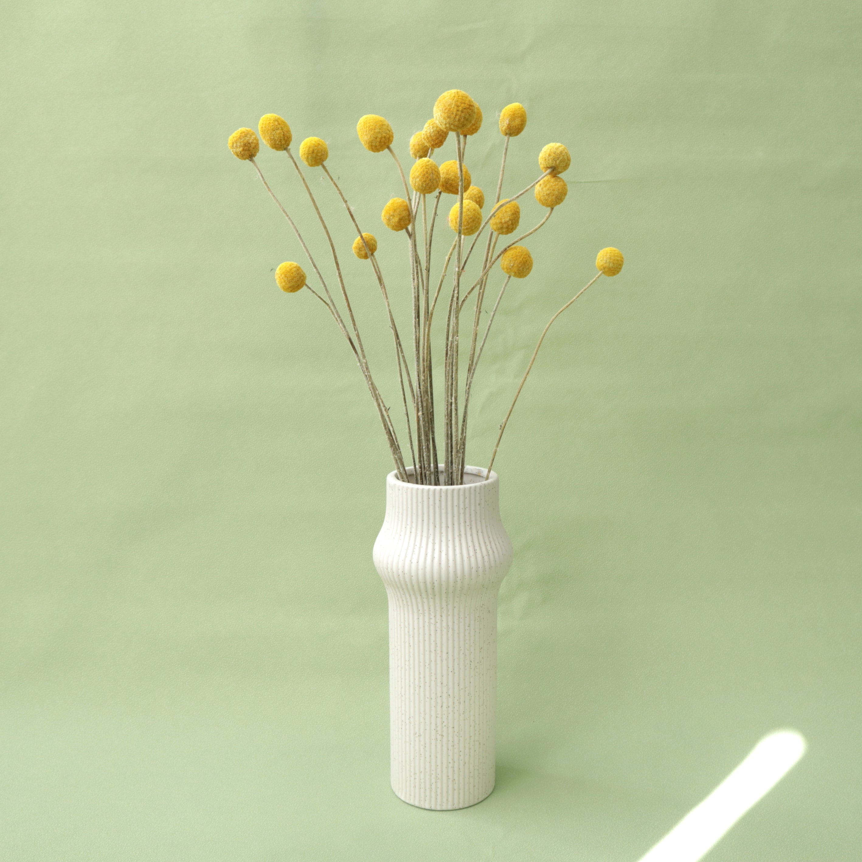 Billy Button – Floral Forest Wholesale