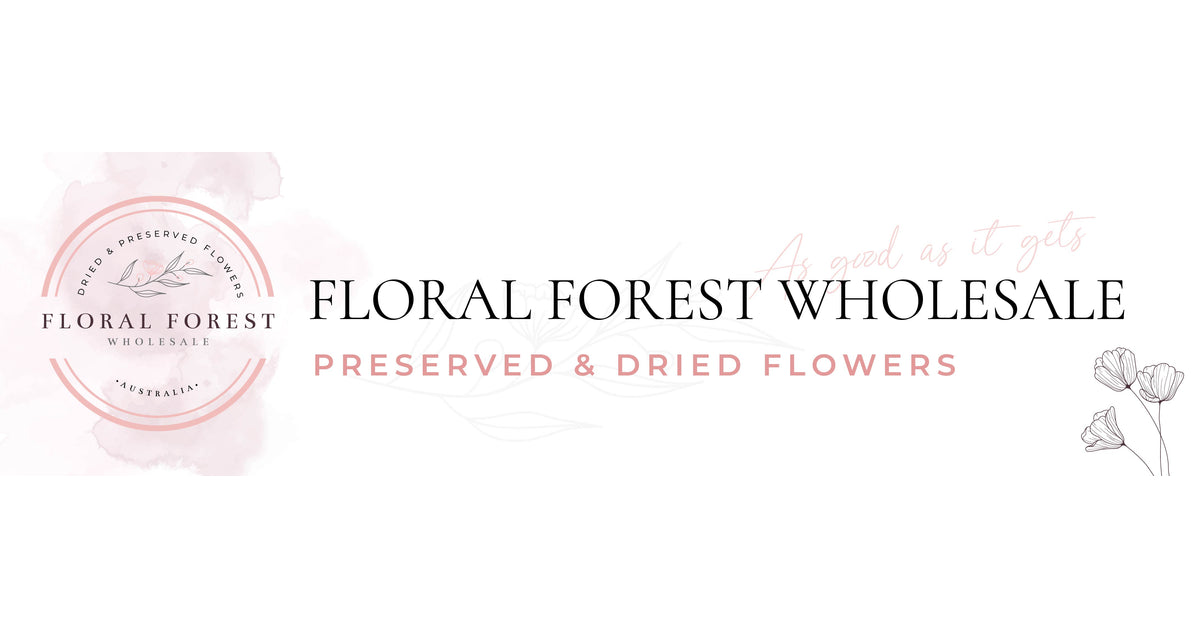 FLORAL FOREST Preserved and Dried Flowers Wholesale – Floral Forest ...