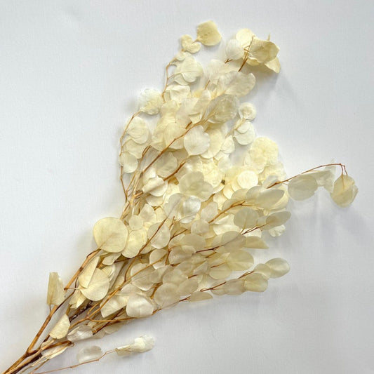 Sale Items – Page 3 – Floral Forest Wholesale